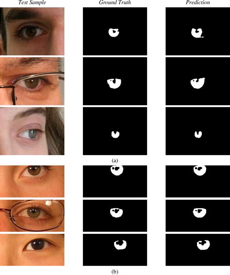 figure 3 from accurate iris segmentation for at a distance acquired iris face images under less