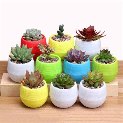 Vasos De Plantas Modelos Incr Veis E Como Escolher