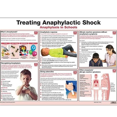 Treating Anaphylactic Shock Poster X Cm First Aid Supplies