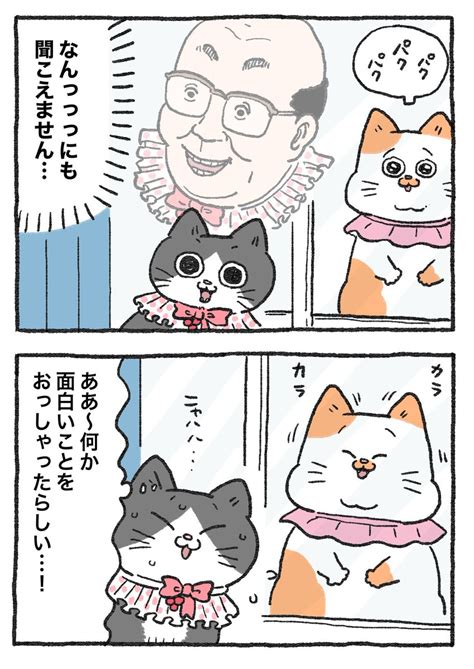 Pottsness On Twitter Rt Yajima Kenji