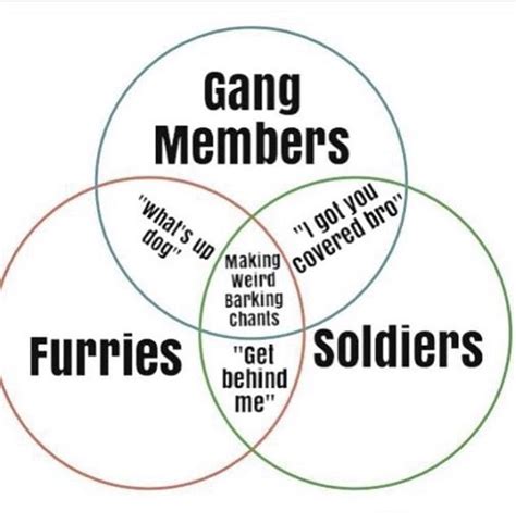 Memebase Venn Diagrams All Your Memes In Our Base Funny Memes