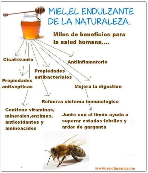 płuco Oczyścić W większości przypadków beneficios de la miel de abeja
