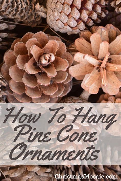 Pine Cones With The Words How To Hang Pine Cone Ornaments On It And An