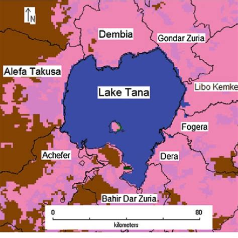 Pdf The Fish And The Fisheries Of Lake Tana