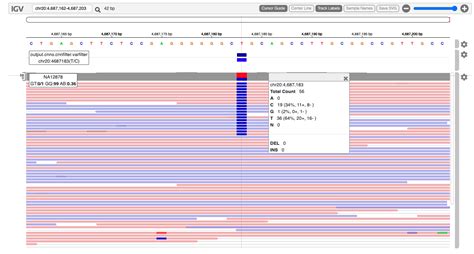 variant calling using command line tools bioinformatics documentation