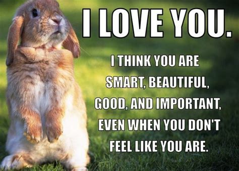 Funny And Cute Relationship Memes To Send To Your Special Someone