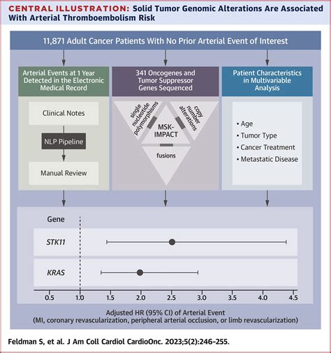 Medvasc Profil G Nomique Tumoral Risque Mtev Et Thrombose Art Rielle