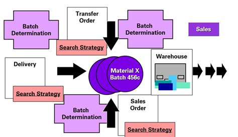 How To Optimize Batch Management In Sap Saptutorials In