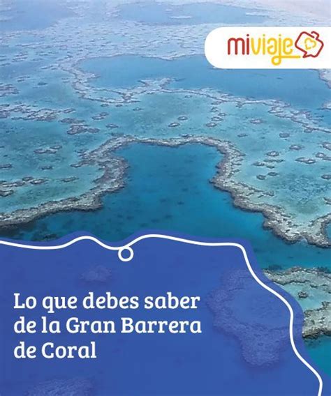 Lo Que Debes Saber De La Gran Barrera De Coral Descubre Tres Grandes