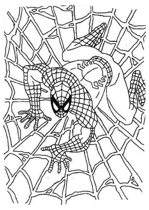 60 Desenhos do Homem Aranha para Colorir Amor de Papéis