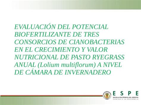 Ppt Evaluaci N Del Potencial Biofertilizante De Tres Consorcios De
