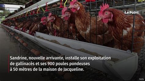 Savoie 900 Poules Pondeuses Provoquent Un Conflit De Voisinage YouTube