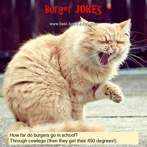 Burger Jokes How Far Do Burgers G