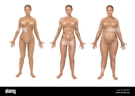 Naked Women Body Shapes Telegraph