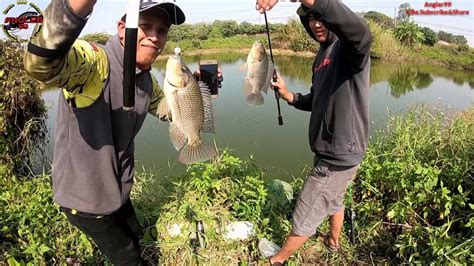 Mancing Mujair Mancing Nila Liar Mujair Part Mancing Ikan Nila Babon