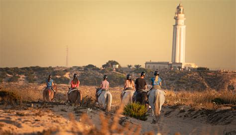 Paseos a Caballo por la Playa de Zahora Caños de Meca Cádiz
