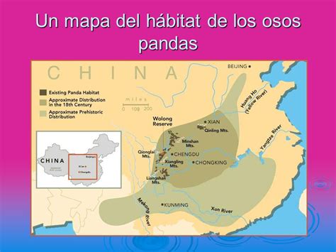 Actualizar 166 Images Donde Vive El Oso Panda Mapa Viaterra Mx