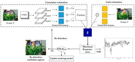 algorithms free full text a robust visual tracking algorithm based on spatial temporal