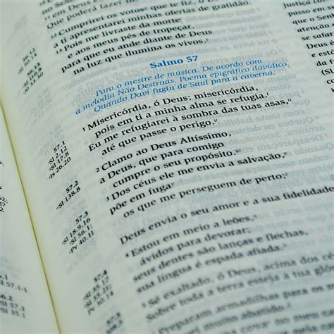 Bíblia De Estudo Da Mulher De Fé Índice Nvi Luxo Capa Pu