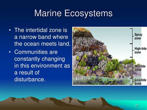 Ppt Chapter Communities Biomes And Ecosystems Powerpoint
