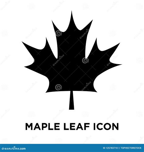 Vector Del Icono De La Hoja De Arce Aislado En El Fondo Blanco Concep