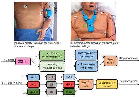 the wearable sensors including ecg ppg and accelerometers are shown download scientific