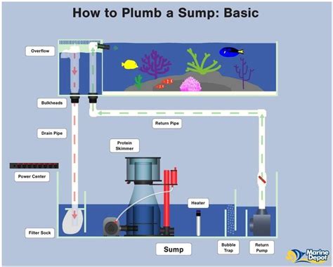 Basic Sump A Sump Is Essentially A Container That Houses Your Aquarium