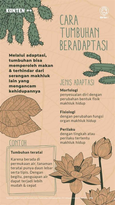 Cara Adaptasi Tumbuhan Homecare24