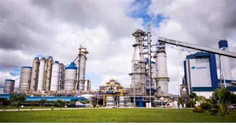 Suzano SUZB3 anuncia R 1 66 bilhão em investimentos confira Money