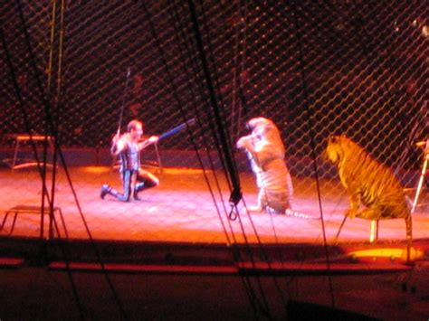 Ringling Bros 077 Janetluong28 Flickr