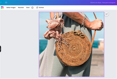 C Mo Quitar El Fondo De Una Imagen Online Sin Marca De Agua