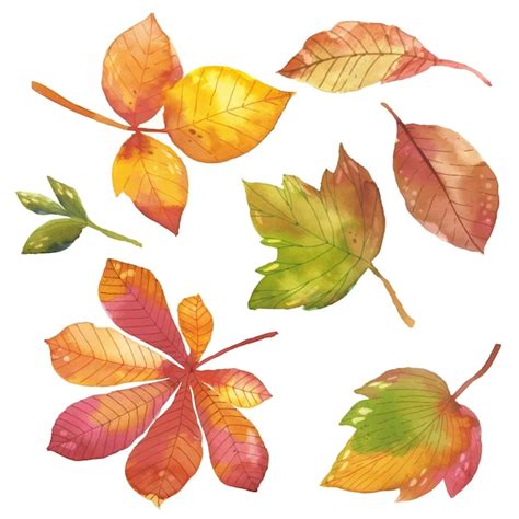 Colección de hojas de otoño acuarela Vector Gratis