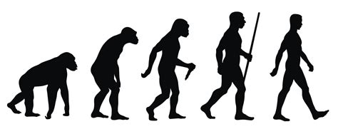 PALEOLÍTICO Qué es etapas características y sociedad