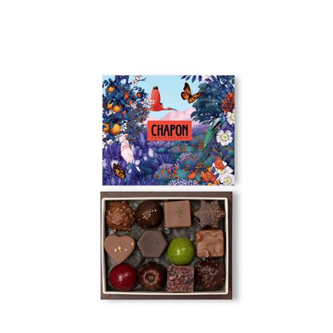Chapon Assortiment Chocolats Noir et Lait 220g 24 pièces