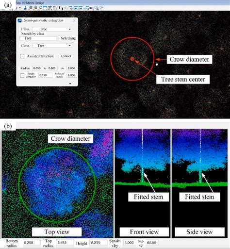 manual labeling of the tree parameters using tls point clouds a download scientific diagram