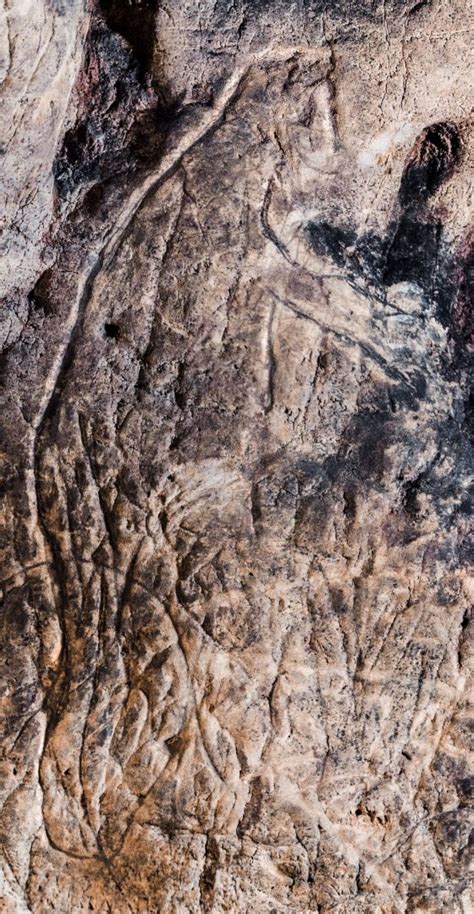 PaleoAnthropology on Twitter RT robertosaezm Más de 100 grabados