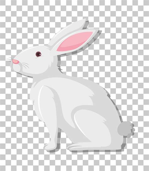 Dibujos Animados De Conejo Blanco Aislado Sobre Fondo Transparente