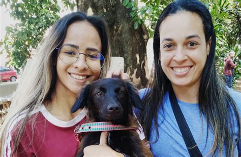 Próxima Campanha de Adoção de Animais acontece neste sábado 4