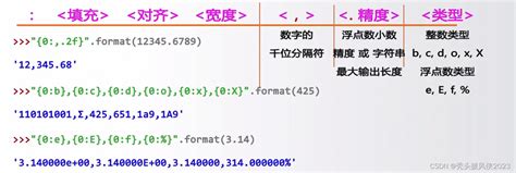 format（）方法的格式控制 format格式控制 csdn博客