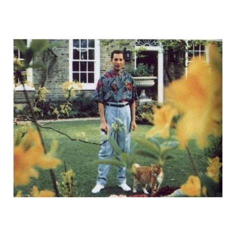 Freddie Mercury em uma das últimas fotos conhecidas antes de sua morte
