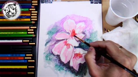 Actualizar 82 Dibujos Faciles Con Lapices Acuarelables Camera Edu Vn