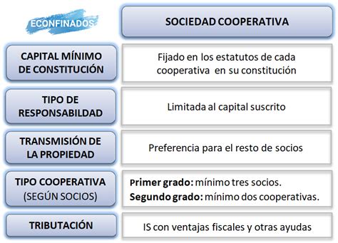 Cuáles son las características de una sociedad cooperativa