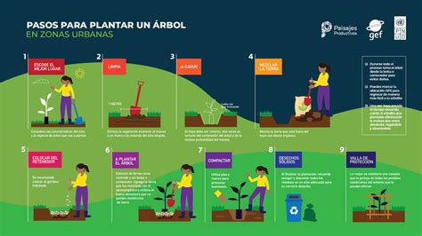 Plantar un ÁRBOL en IMÁGENES Guía Visual PASO A PASO
