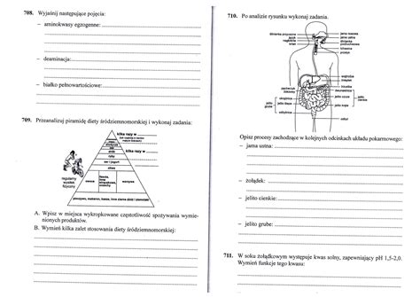 Test Przyroda Klasa 4 Układ Pokarmowy Margaret Wiegel
