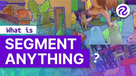 Segment Anything Model SAM Instance Segmentation Model