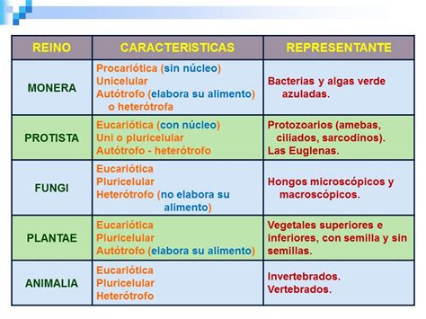 Cuadro Comparativo De Los Reinos Images And Photos Finder
