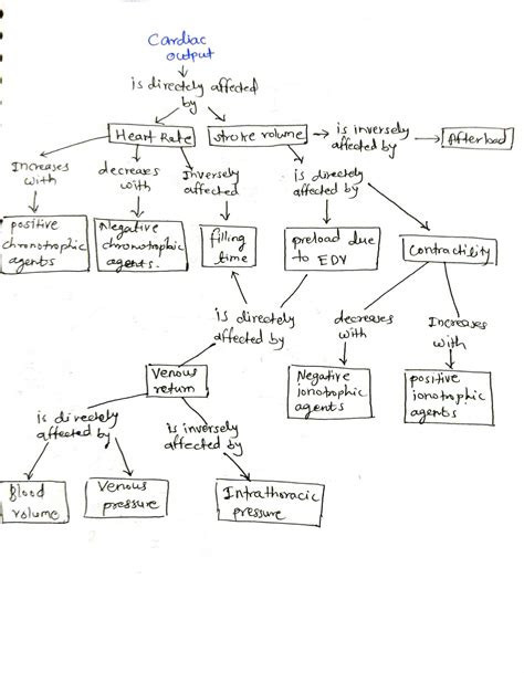 Cardiovascular System Concept Map