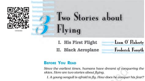 Two Stories About Flying Part 2 The Black Aeroplane Class 10