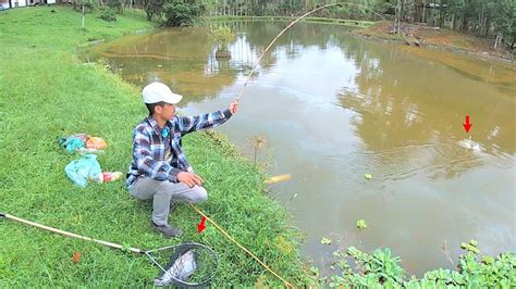 AS MAIOR TILÁPIAS QUE JÁ PEGUEI NA VARINHA DE BAMBU SÓ GIGANTES