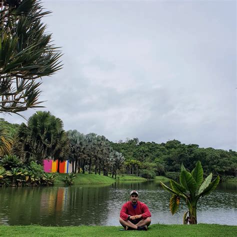 Inhotim O Maior Museu A C U Aberto No Mundo Biologia Da Paisagem